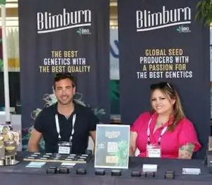 Blimburn Honest Review 2024: Legit or Scam? - USEED - Cannabis Seed ...