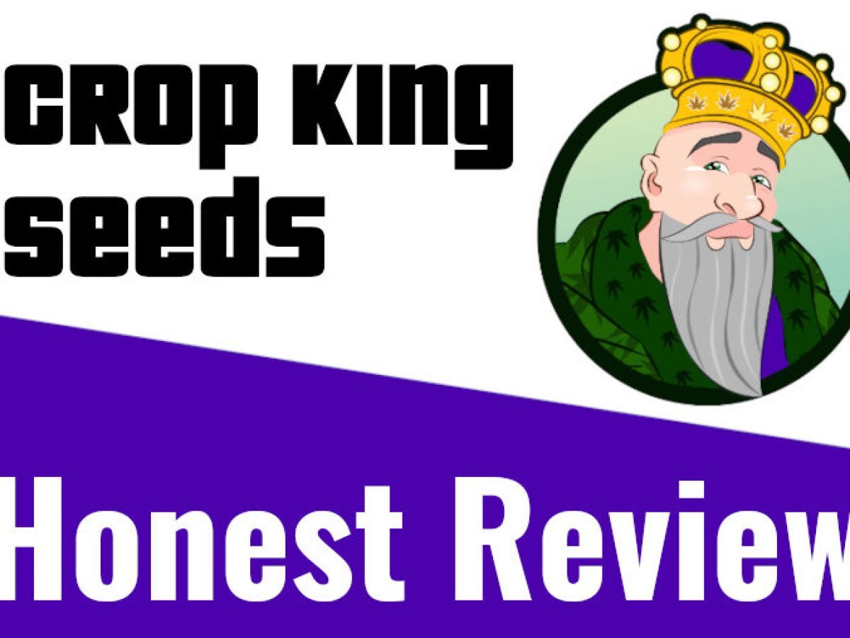 Crop King Seeds